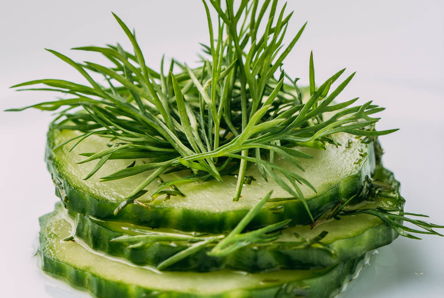 Quick Pickle Cucumber Slices with Fresh Dill Recipe | VEEG