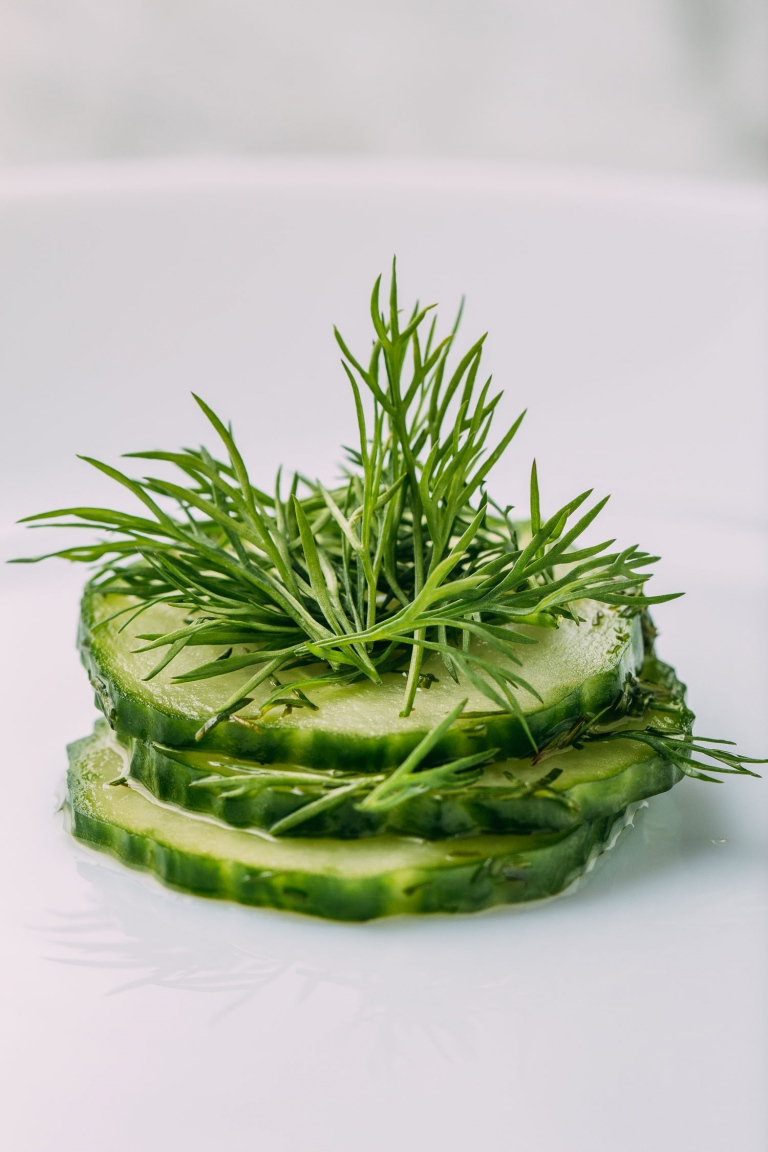 Quick Pickle Cucumber Slices with Fresh Dill Recipe | VEEG