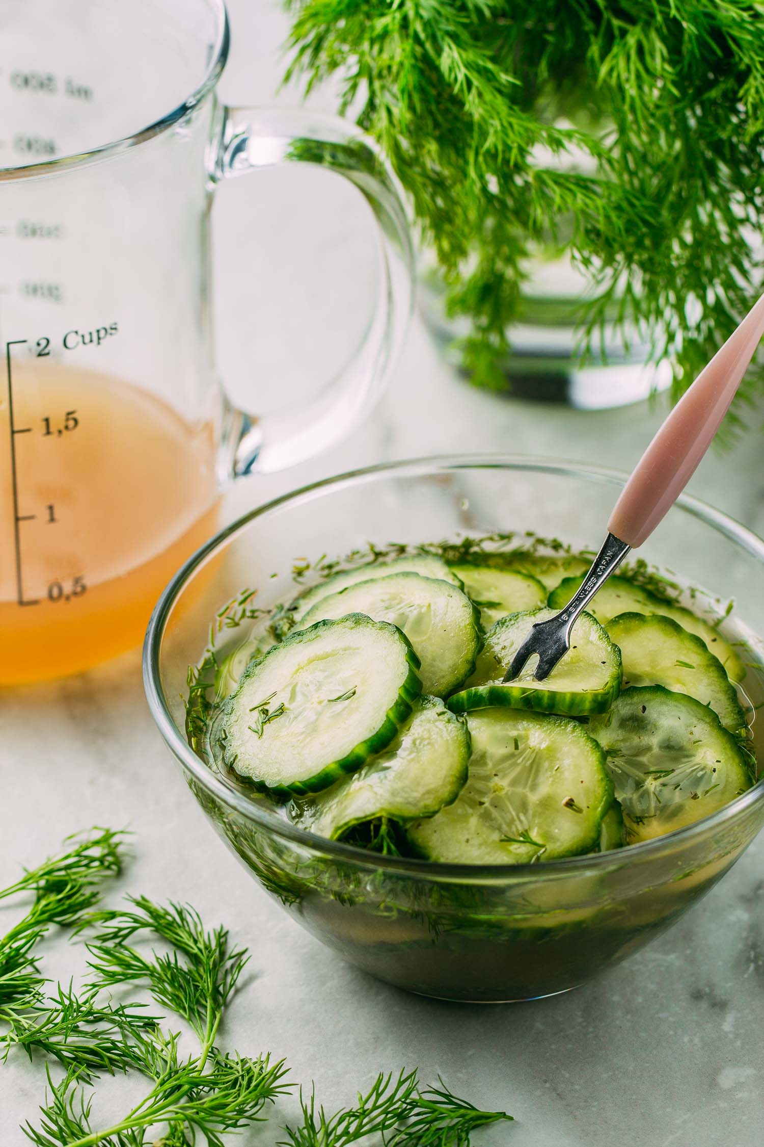 Quick Pickle Cucumber Slices with Fresh Dill Recipe | VEEG