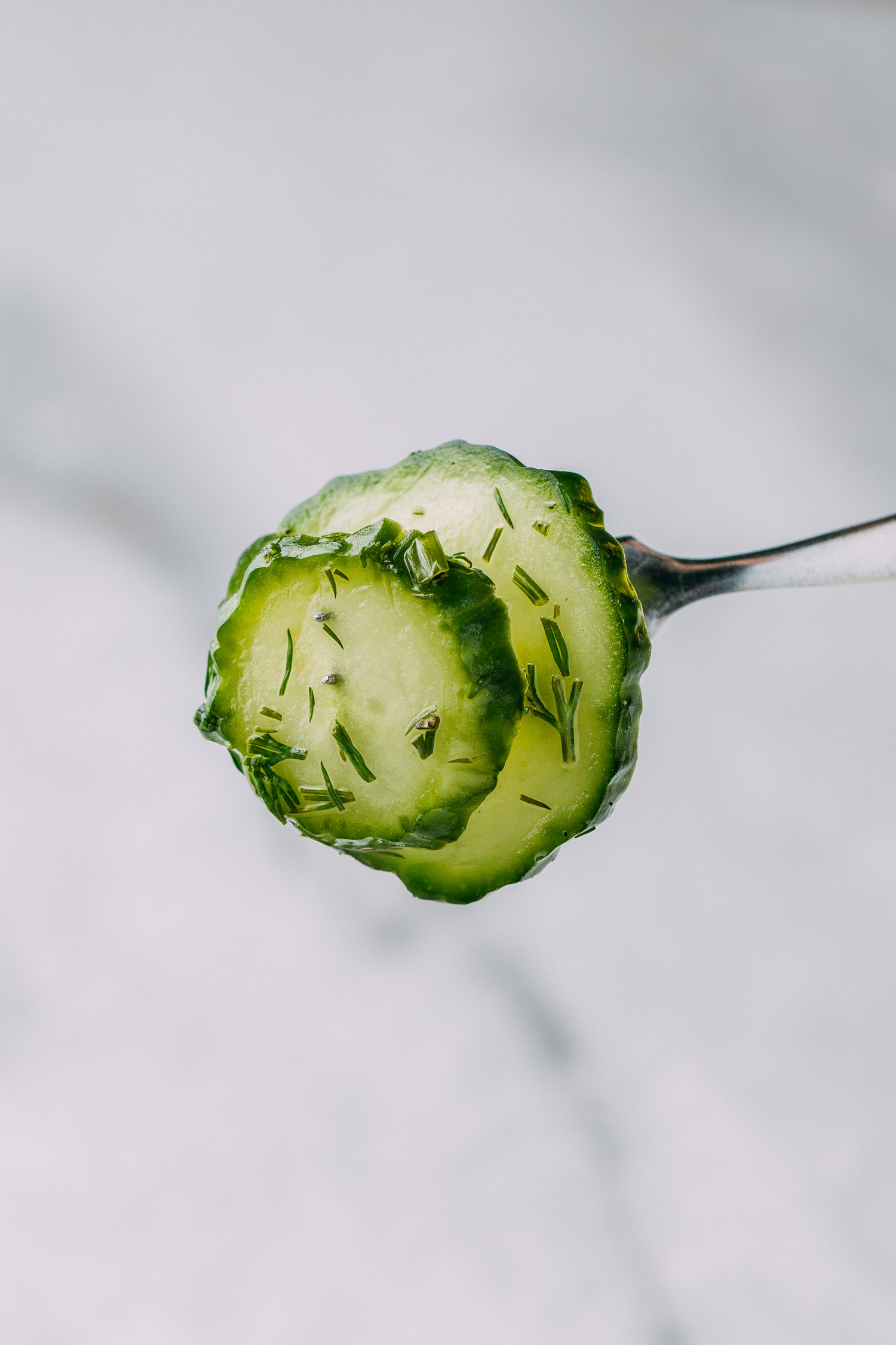 Quick Pickle Cucumber Slices with Fresh Dill Recipe | VEEG
